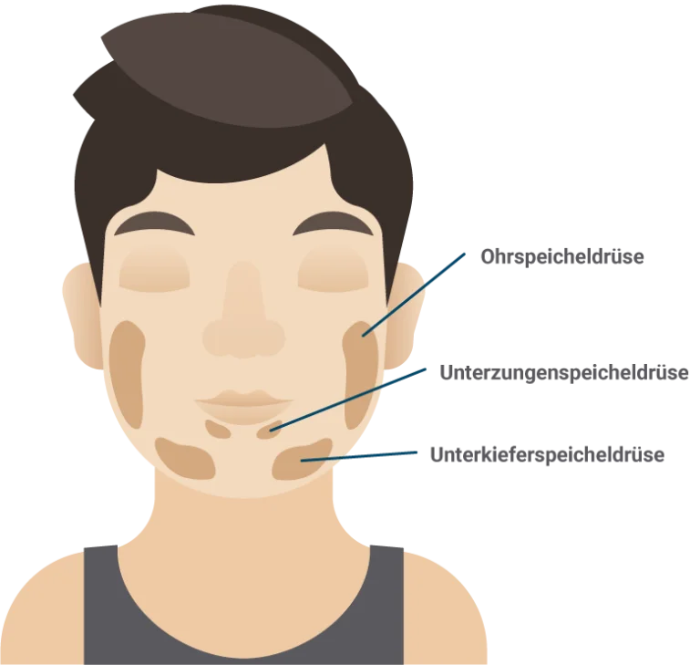 HNO Oldenburg | Hals | Wissenswertes und Krankheitsbilder